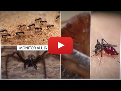 Delta Five’s Bed Bug Monitoring System